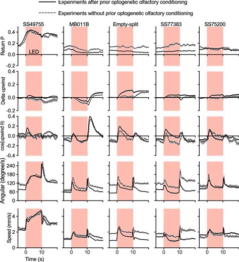 Figures And Data In New Genetic Tools For Mushroom Body Output Neurons