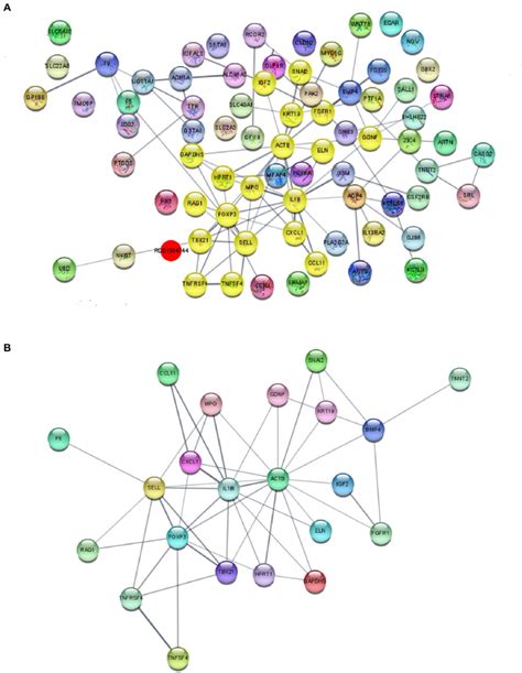 Protein Protein Interaction Ppi Network Analysis Of Dernas A Ppi