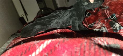 My Bf Bought Me A Goofy Toothless Plush 💪💪 And Im Getting Robux R