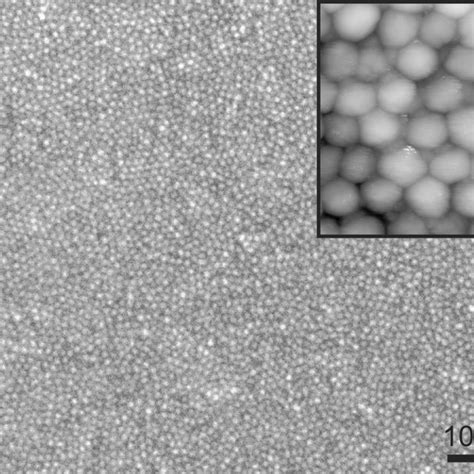 Large Scale Sem Image Of Pbsecdse Heteronanocrystals Transferred By