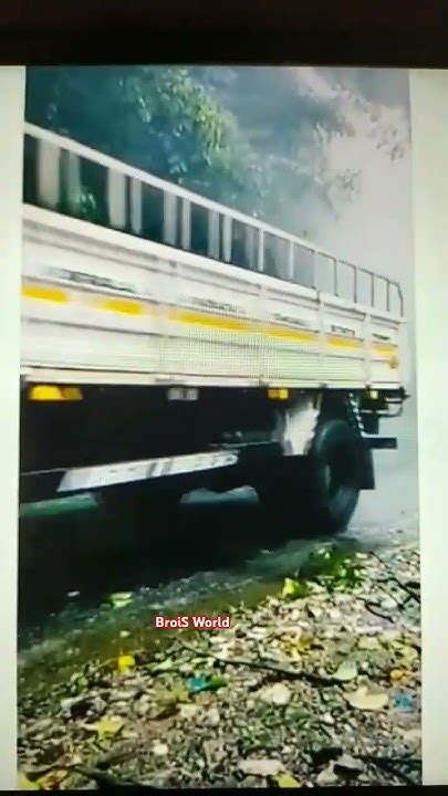 He Is The One And Only King🤩🤩shortsbroisbrois World Youtube