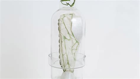 Jessica Thies Designs Living Footwear Printed With Bio Based Ink