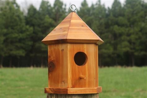 Bird House Plans Gazebo Nesting Box For Bluebirds Wrens Free Printables Monograms Design