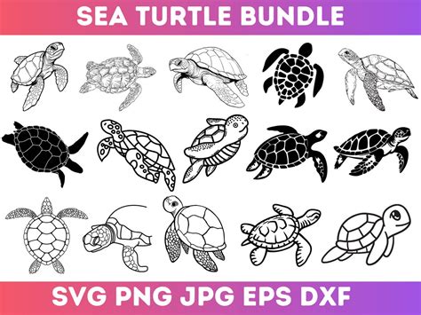 Turtle Svg Bundle Sea Turtle Svg Cute Sea Turtle Svg Baby Turtle Svg Ocean Turtle Svg