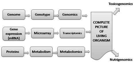 2 Integrating Omics Technology One Of The Challenges Of Systems Download Scientific Diagram