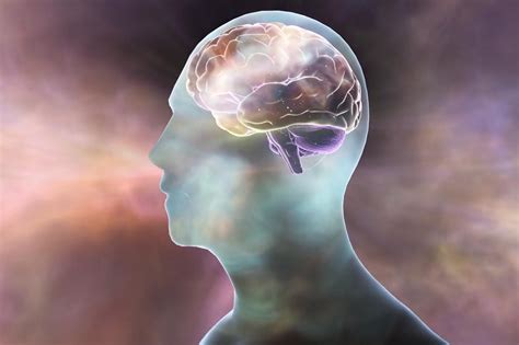 Rewiring The Brain Scientists Reverse Meth And Pcps Cognitive Effects