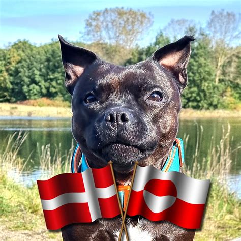 Mansplain We Lost Another One To Ozempic Miley Cyrus Facebook