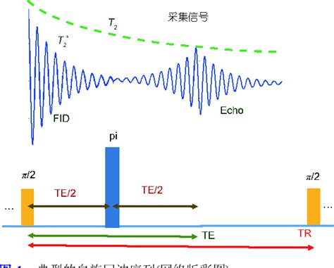 Figure 1 From The Technique Of Magnetic Resonance Fingerprinting And Its Latest Development