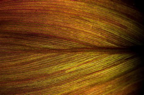 Free Noise Texture Texture Images Pixabay