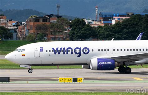 Wingo Proyecta Crecimiento Por Temporada Alta De Mitad De Año Volavi
