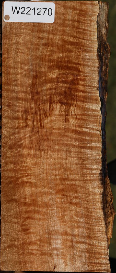 Fiddleback Maple Live Edge Lumber Cook Woods