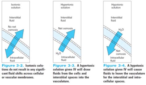 542 Exam 2 Intravenous Fluid Selection Flashcards Quizlet