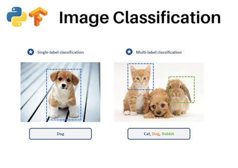 Create A Computer Vision Model Using Tensorflow By Schypozhoa Fiverr