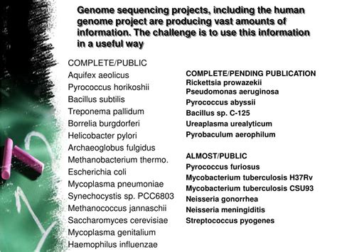 PPT Bioinformatics PowerPoint Presentation Free Download ID