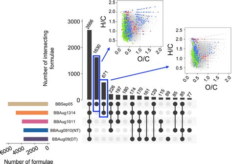 An Upset Plot Depicting The Number Of Common Formulae Between The