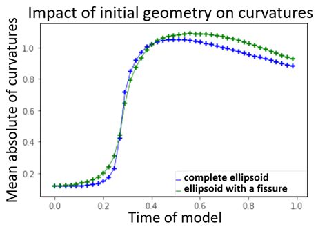 25 1 St Column The Pink Area Is Used To Calculate The Mean Download Scientific Diagram