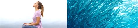 How To Enhance Brain Function Deep Blue Health Nz