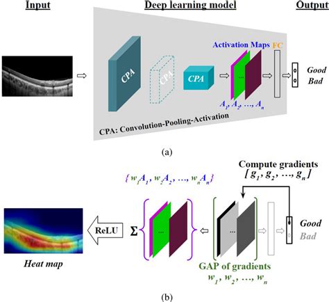 Schematic Illustration Of Generating Class Specific Good Grad Cam