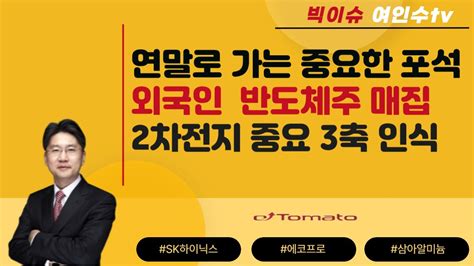 연말로 가는 중요포석 2차전지 반도체 핵심주자 중요전망 바이오 소수 선택 대주자 바닥권 핵심주자 Youtube