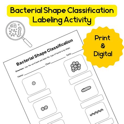 Dental Education Hub Hi I Ve Created A 𝐁𝐚𝐜𝐭𝐞𝐫𝐢𝐚𝐥 𝐒𝐡𝐚𝐩𝐞 𝐂𝐥𝐚𝐬𝐬𝐢𝐟𝐢𝐜𝐚𝐭𝐢𝐨𝐧 𝐖𝐨𝐫𝐤𝐬𝐡𝐞𝐞𝐭 To Help