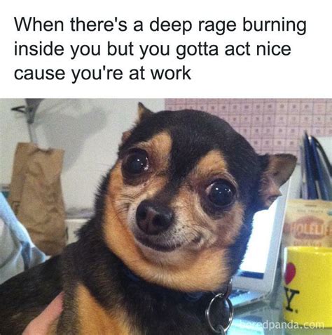 50 Workplace Memes To Cackle At Whilst You Ignore Your Responsibilities