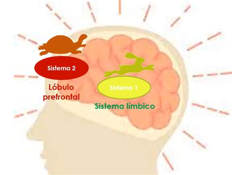Sistemas En La Economía Conductual Keepcoding Bootcamps