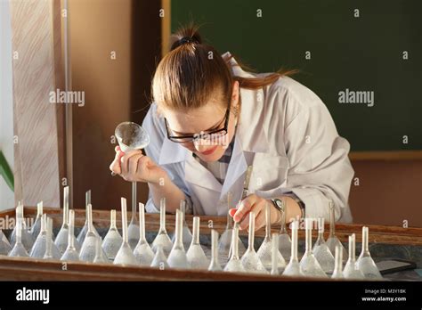 Seed Germination Test Hi Res Stock Photography And Images Alamy