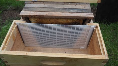 Transfer Hive BeeRepair Com