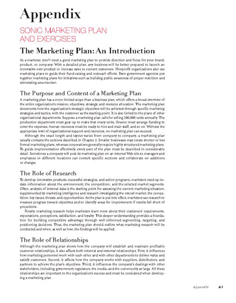 Sonic Marketing Plan 1 Appendix Appendix A Sonic Marketing Plan And