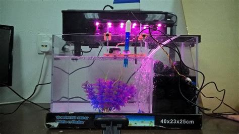 Smart Aquarium A Combination Of An Iot And An Aquarium Based Project