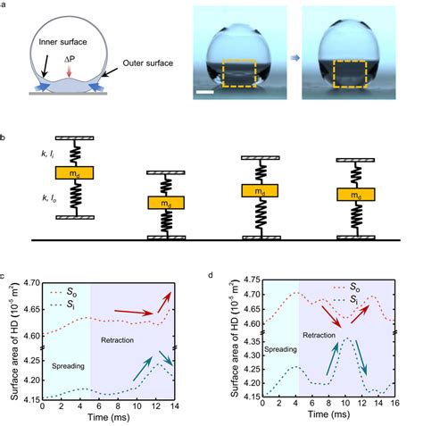 Counteractive Capillary Effects For Rebound Suppression A Schematic Download Scientific Diagram