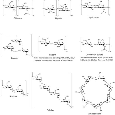 Polysaccharide Chitin