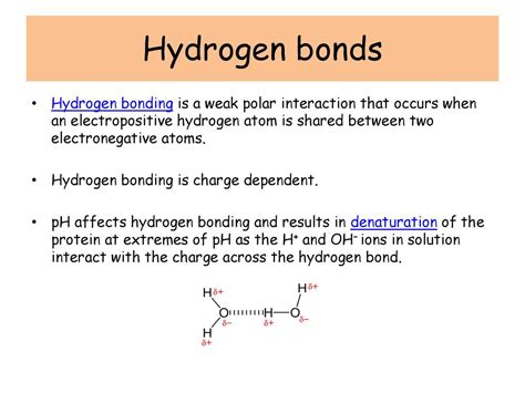 Ah Biology Unit 1 Protein Structure 1 Ppt Download