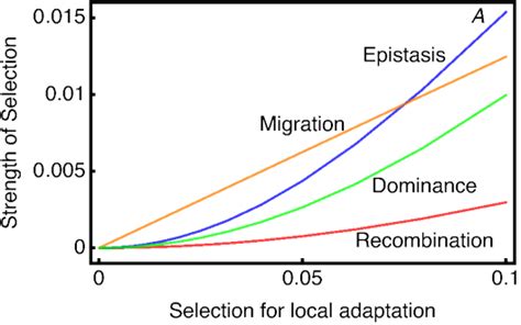 Selection For Modifiers Depends On The Strength Of Selection For Local