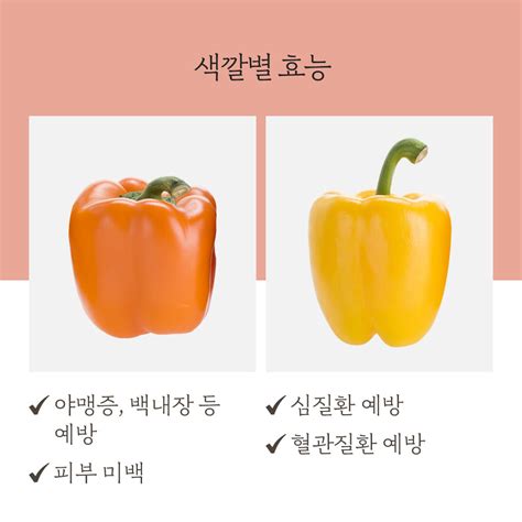자연이랑 초록 빨강 주황 노랑🌈 색마다 다른 파프리카 이야기 ⠀ 파프리카는 색깔별로 성분이나 Facebook