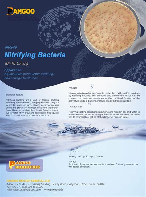 Pro 09 Nitrifying Bacteria Pangoo