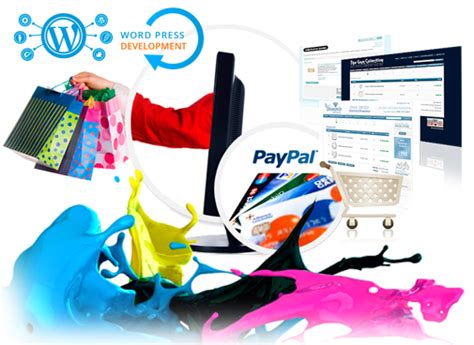 Wordpress Ecommerce Website Dswshop Wordpress Website Development