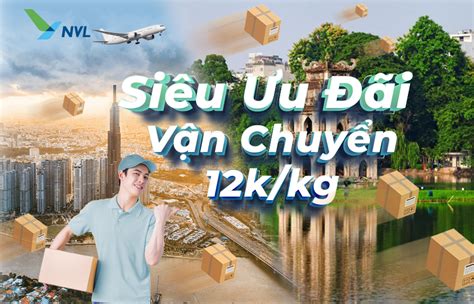 Vận tải hàng hóa nội địa bằng đường hàng không Nam Việt Logistics