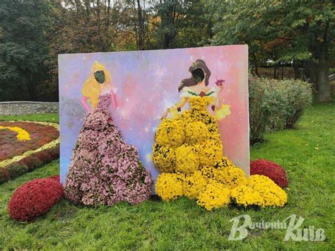 Квіткові зірки у Києві стартував фестиваль хризантем Вечірній Київ