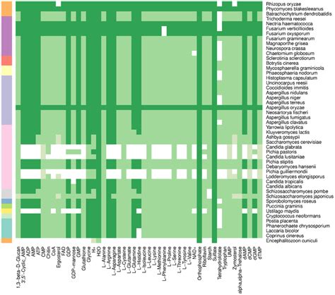 Yields Of Biomass Components In Fungal Models Reaction Directionality Download Scientific