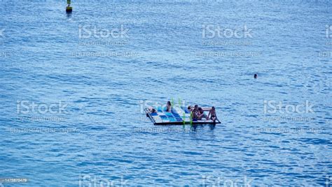 플리머스 사운드의 깨끗하고 오염되지 않은 바다에서 수영하는 바다 건강한 생활방식에 대한 스톡 사진 및 기타 이미지 건강한 생활방식 관광 관광객 Istock