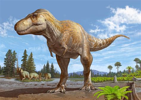 Le Cousin Le Plus Proche De T Rex Découvert Mettant En Lumière Les Origines Des Tyrannosaures