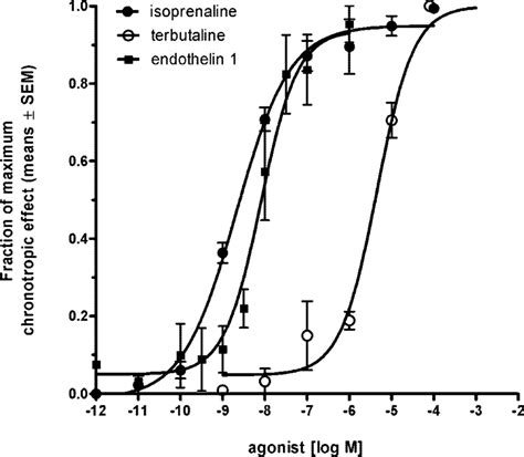 Concentration Response Curve For The Positive Chronotropic Effect Of Download Scientific