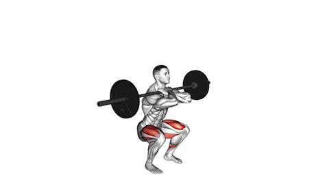 Master The Barbell Front Squat Video Guide And Expert Tips