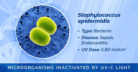 Staphylococcus Epidermidis Infections Niche Specific Genome