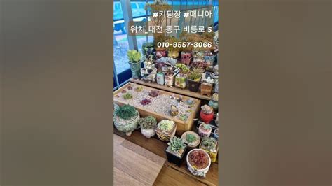 대전 오복다육 키핑장 매니아 Youtube