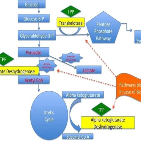 Pdf Shoshin Beriberi In Critically Ill Patients Case Series