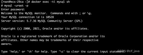 Docker Mysql操作指南 Csdn博客