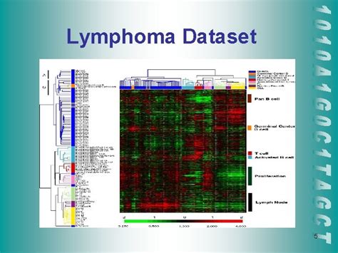 Classifying Lymphoma Dataset Using Multiclass Support Vector Machines