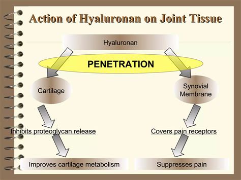 Supartz Injection Techniques Ppt